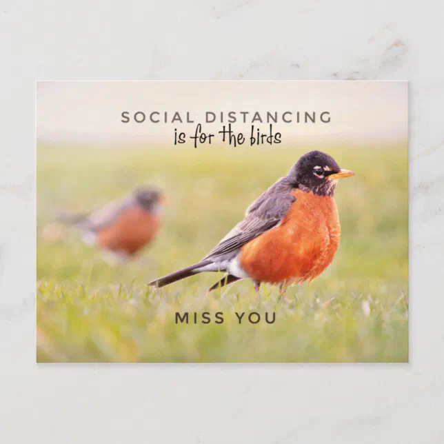 Social Distancing Is For the Birds Postcard | Zazzle