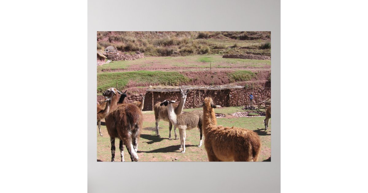 Social Hour Poster | Zazzle