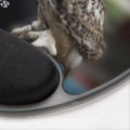 Socrates Quote Eagle Owl Gel Mouse Pad | Zazzle