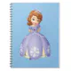 Sofia the First 1 Notebook | Zazzle