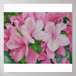 Soft Azaleas Poster | Zazzle