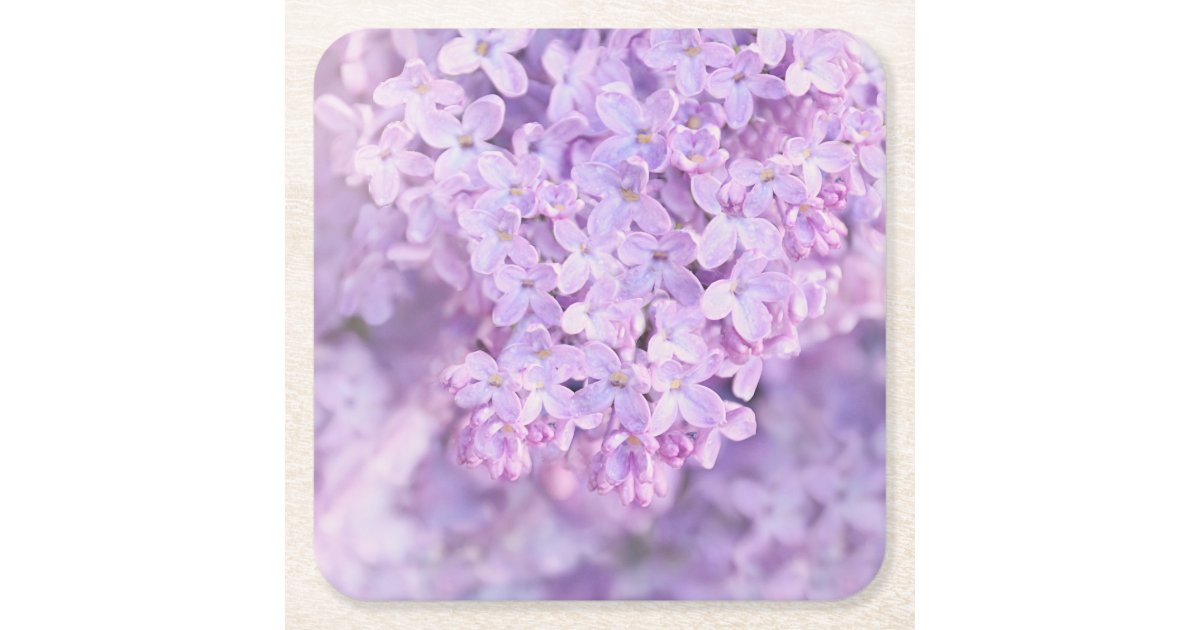 Soft Purple French Lilacs Square Paper Coaster | Zazzle