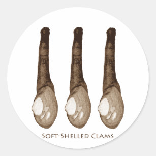 Clam Stickers | Zazzle