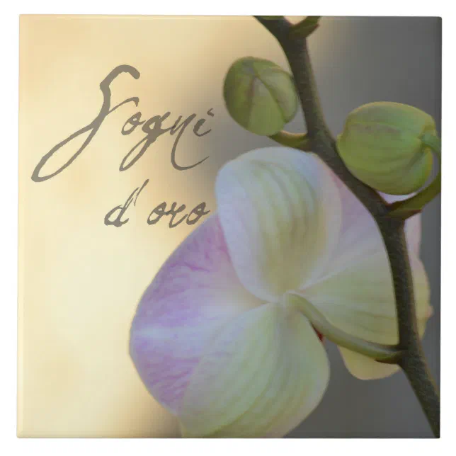 Sogni D'oro (sweet dreams) Orchid Tile | Zazzle