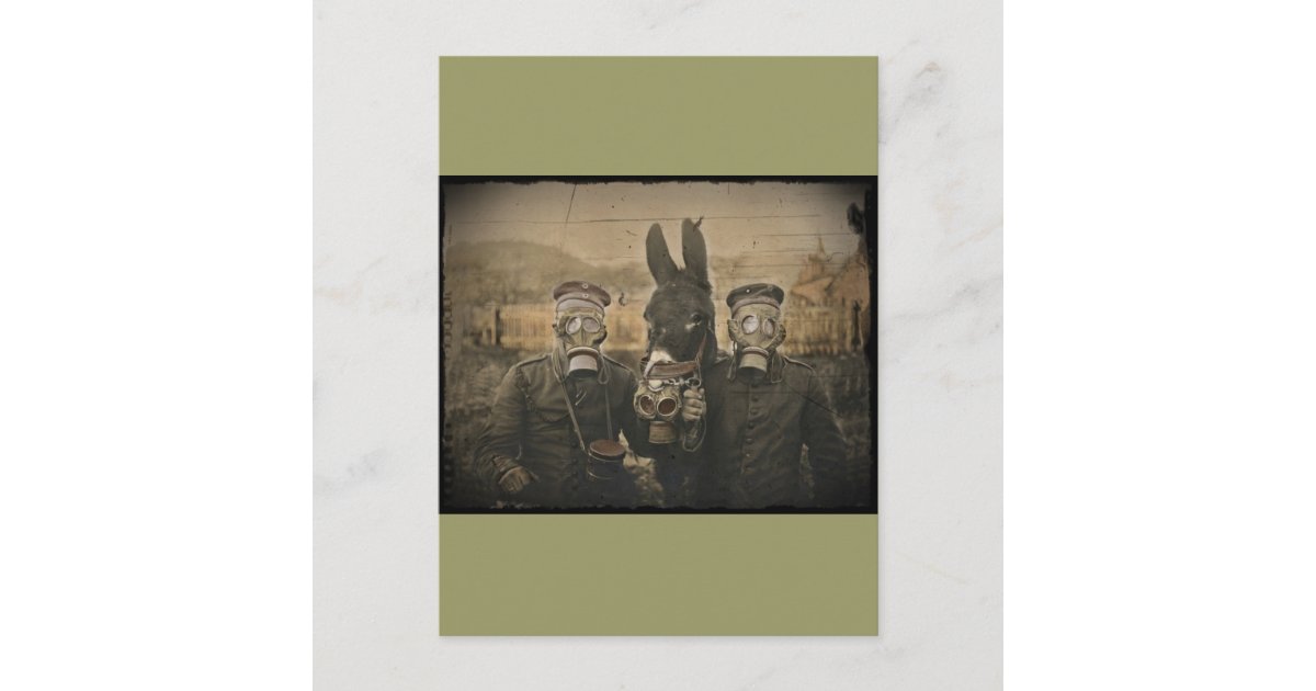 Soldiers Donkey and Gas Masks Postcard | Zazzle