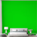 Solid neon green screen chroma key WFH background Wallpaper | Zazzle