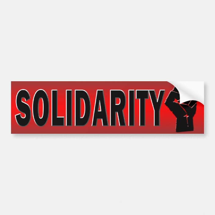 SOLIDARITY BUMPER STICKER | Zazzle.com