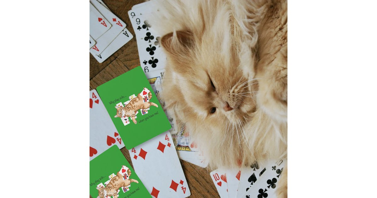 Solitaire Game Cards Cat | Zazzle