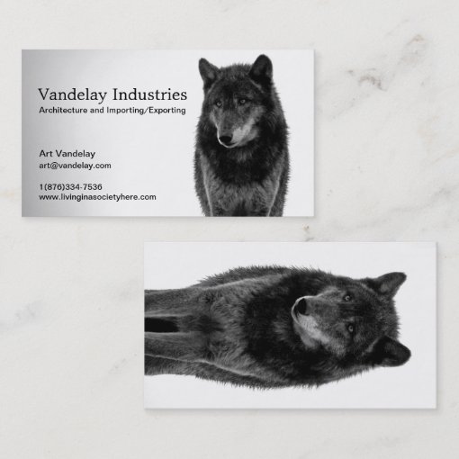 "Solitude" Business Cards | Zazzle