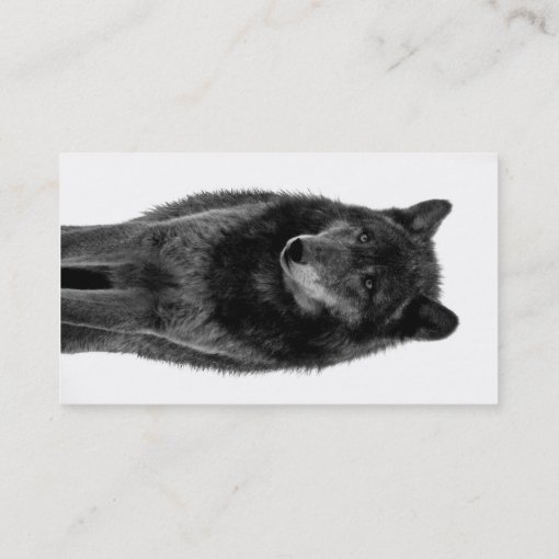 "Solitude" Business Cards | Zazzle