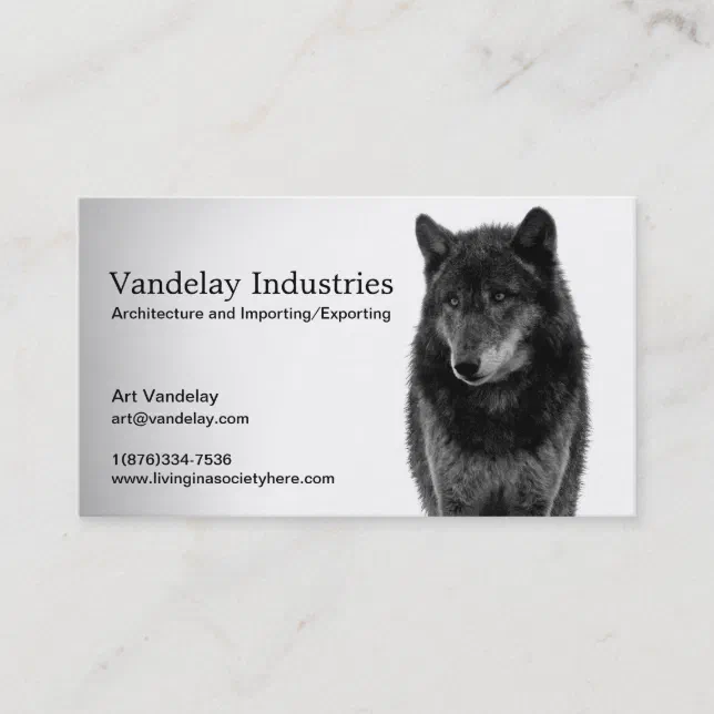 "Solitude" Business Cards | Zazzle