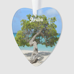 Solo Divi Divi Tree in Aruba Ornament | Zazzle