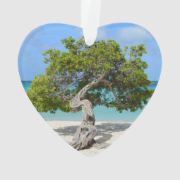Solo Divi Divi Tree in Aruba Ornament | Zazzle