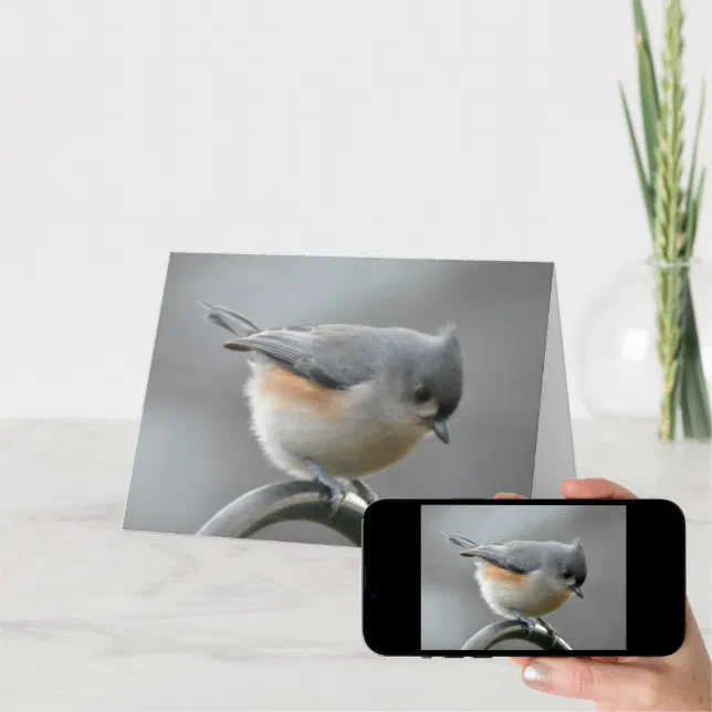 Solstice Card | Zazzle