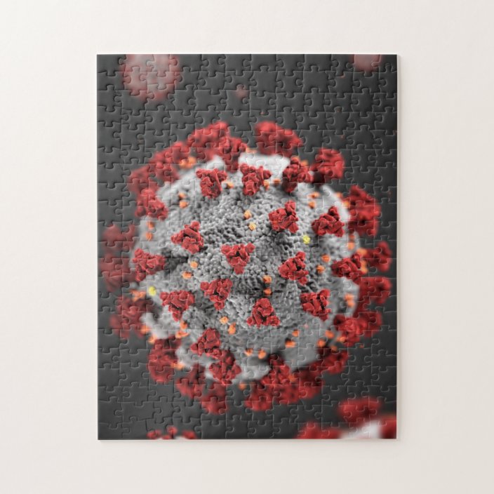 Solve the Covid-19 Puzzle | Zazzle.com