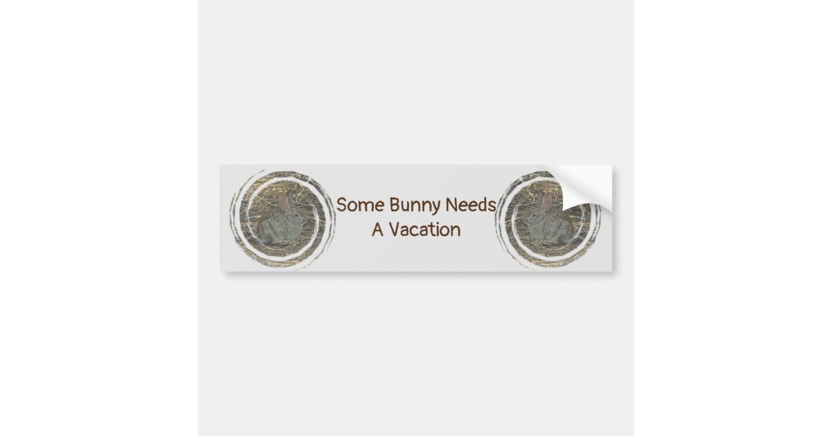 Some Bunny Needs Vacation Small Rabbit Relax Bumper Sticker | Zazzle