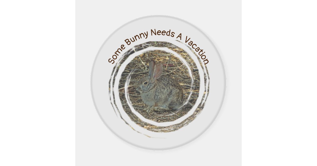 Some Bunny Needs Vacation Small Rabbit Relax Coaster Set | Zazzle