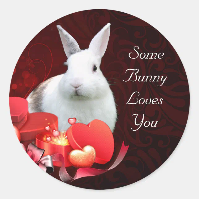 Somebunny loves you classic round sticker | Zazzle
