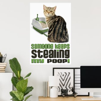 Someone Keeps Stealing My Poop cat lovers poster | Zazzle