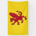 Somerset Flag England dragon symbol Banner | Zazzle