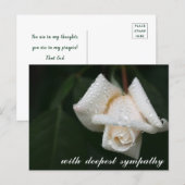 Soothing Green Leaves White Rose Sympathy Postcard | Zazzle