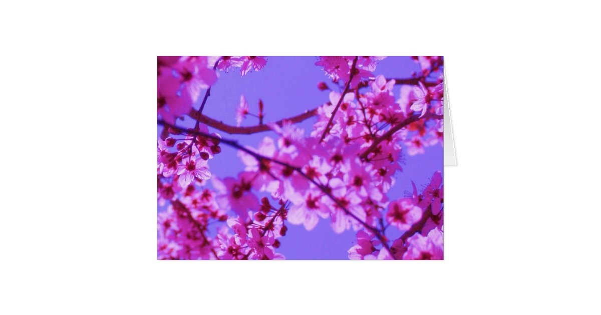 Sophie Card Template | Zazzle