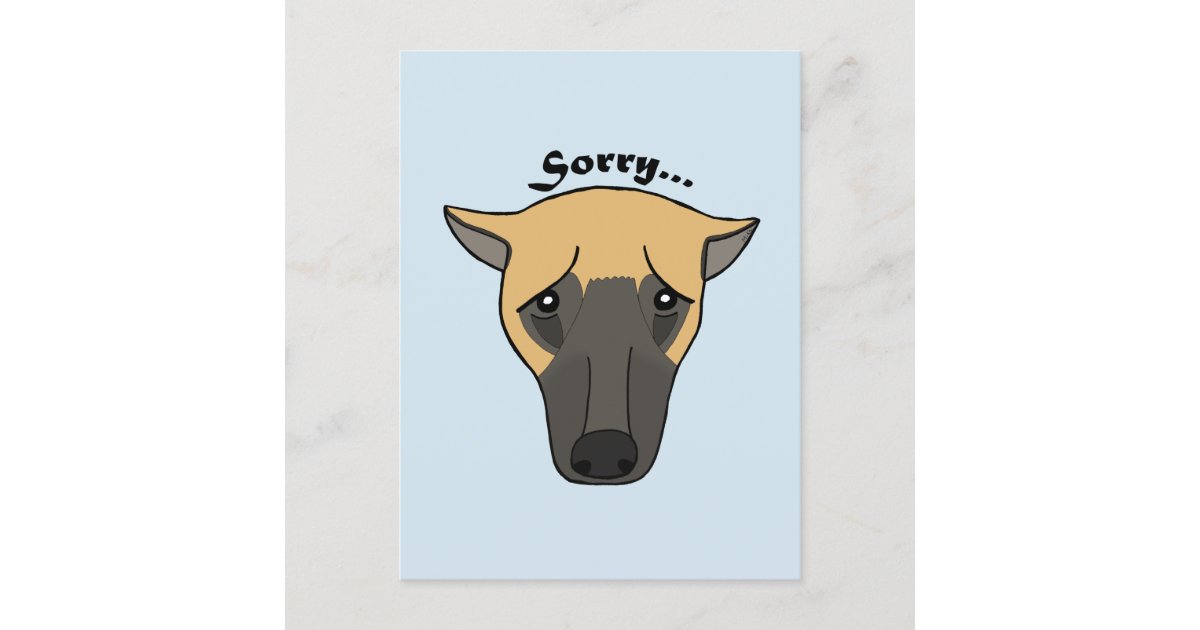 Sorry Card I'm sorry postcard Cute Funny Dog sorry | Zazzle