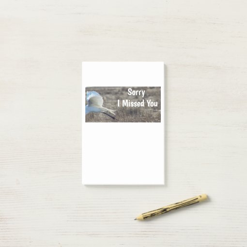 Sorry I Missed You Post-it Notes | Zazzle