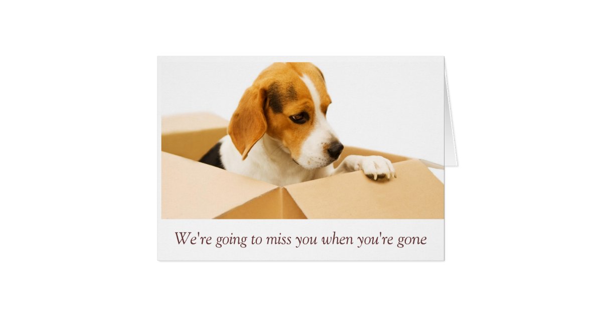 Sorry to see you go card | Zazzle.com