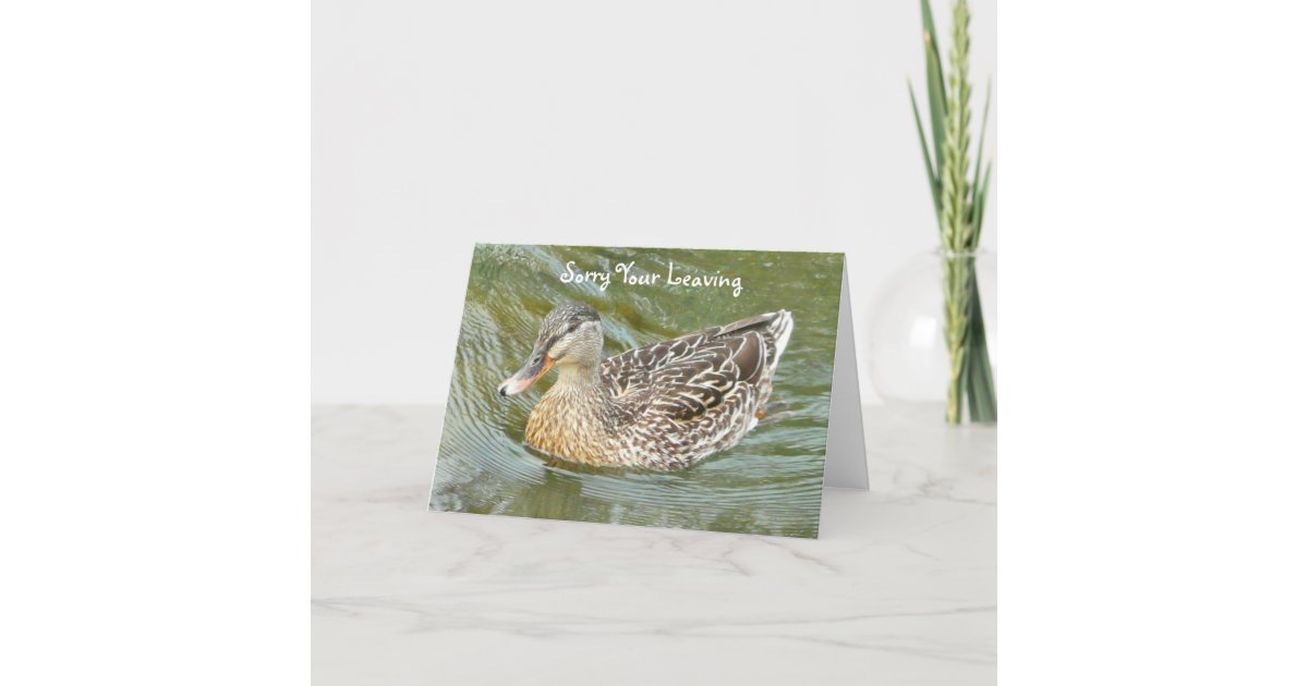Sorry Your Leaving, duck greeting card | Zazzle