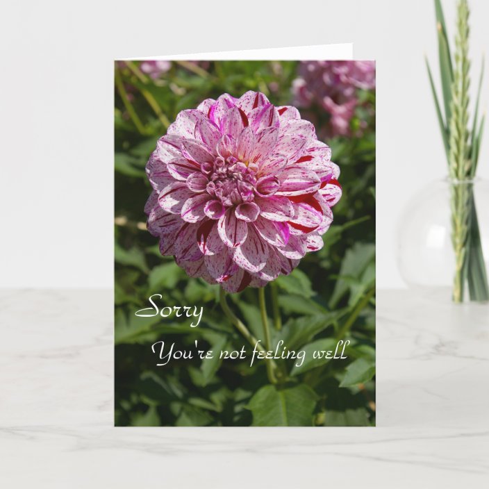 Sorry, You're not feeling well Card | Zazzle.com
