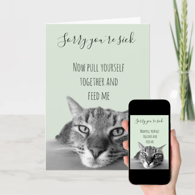 Sorry You're Sick Get Well Soon From Cat Humor Card | Zazzle