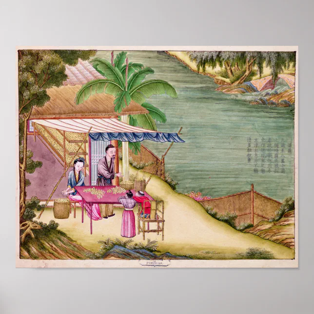 Sorting the Cocoons Poster | Zazzle