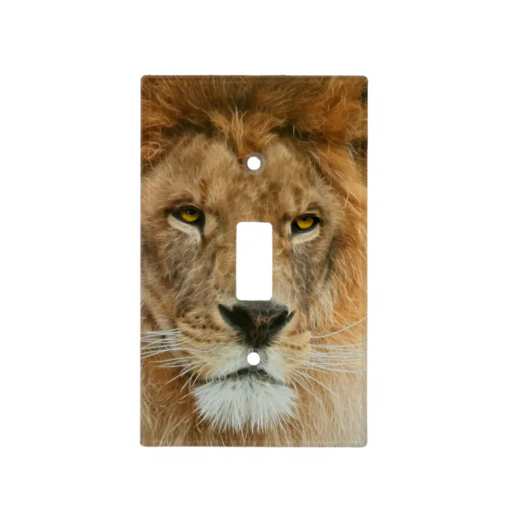 South Africa Majestic Lion Close up Light Switch Cover | Zazzle