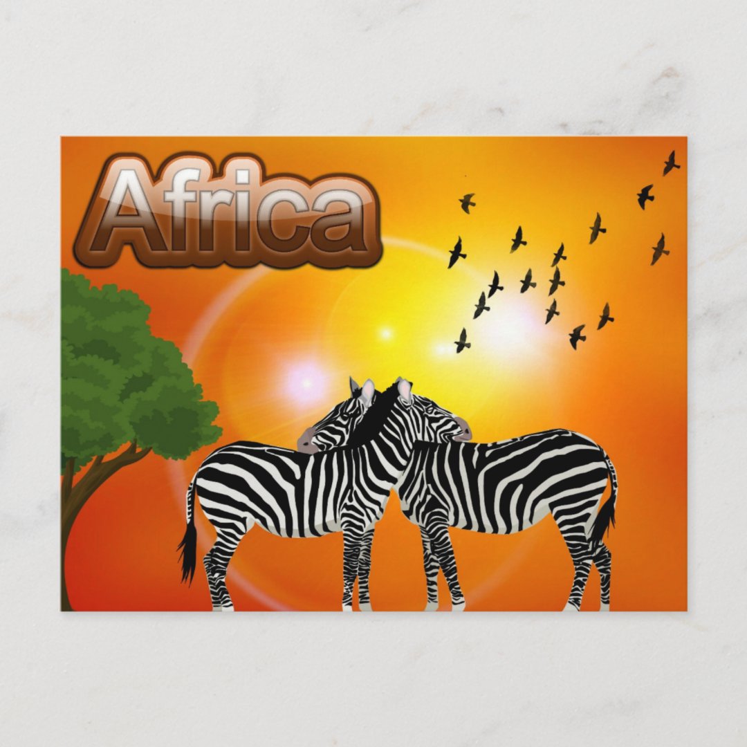 South Africa Vintage Zebra Travel Postcard | Zazzle