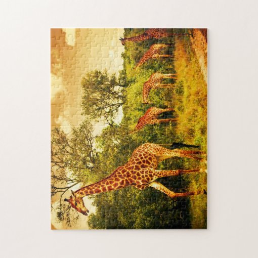South African giraffes Jigsaw Puzzle | Zazzle