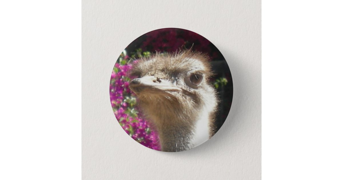 South African Ostrich Face Button | Zazzle