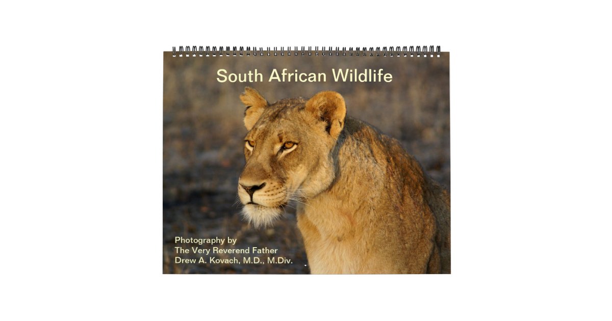 South African Wildlife Calendar | Zazzle