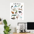South American Animals | Education Classroom Poster | Zazzle