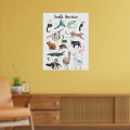 South American Animals | Education Classroom Poster | Zazzle