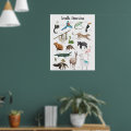 South American Animals | Education Classroom Poster | Zazzle