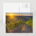 South Australia, Adelaide Hills, Summertown. Postcard | Zazzle