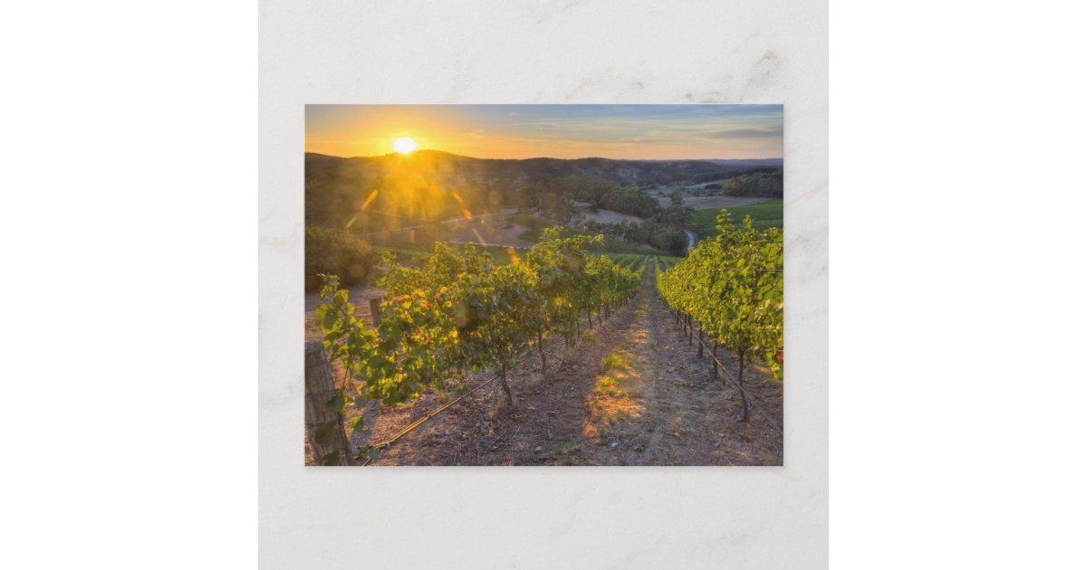 South Australia, Adelaide Hills, Summertown. Postcard | Zazzle