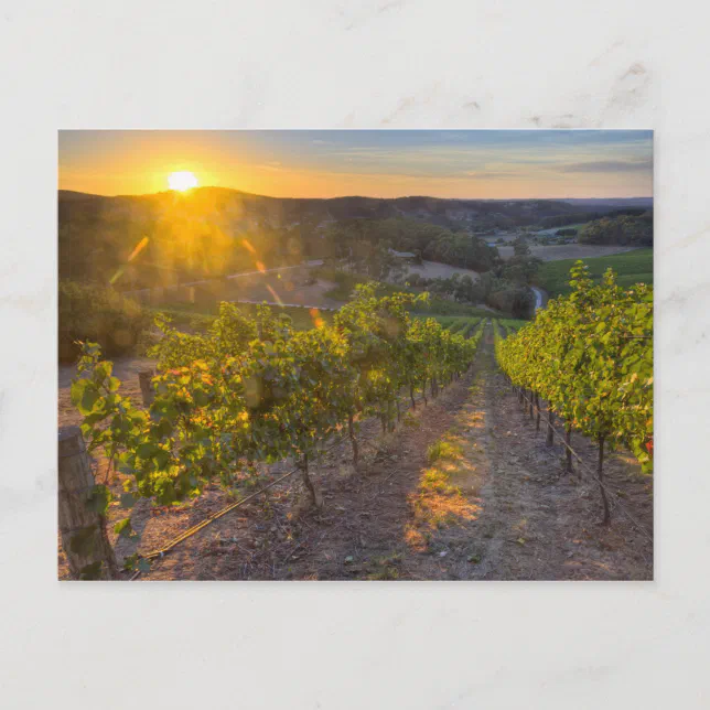 South Australia, Adelaide Hills, Summertown. Postcard | Zazzle