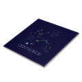 Southern Hemisphere Constellation Centaurus Ceramic Tile | Zazzle