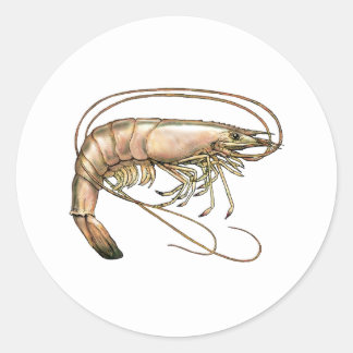 Shrimp Stickers | Zazzle