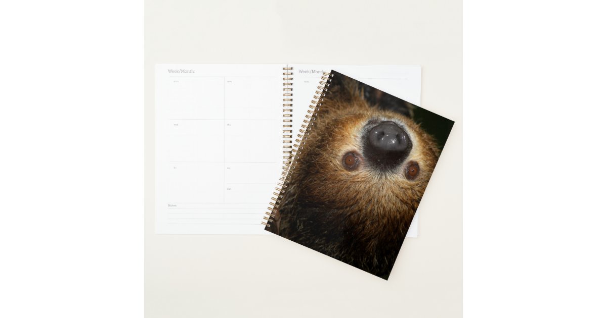 Southern Two-Toed Sloth Planner | Zazzle