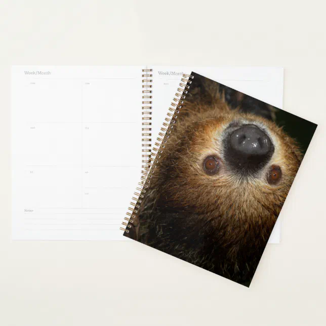 Southern Two-Toed Sloth Planner | Zazzle