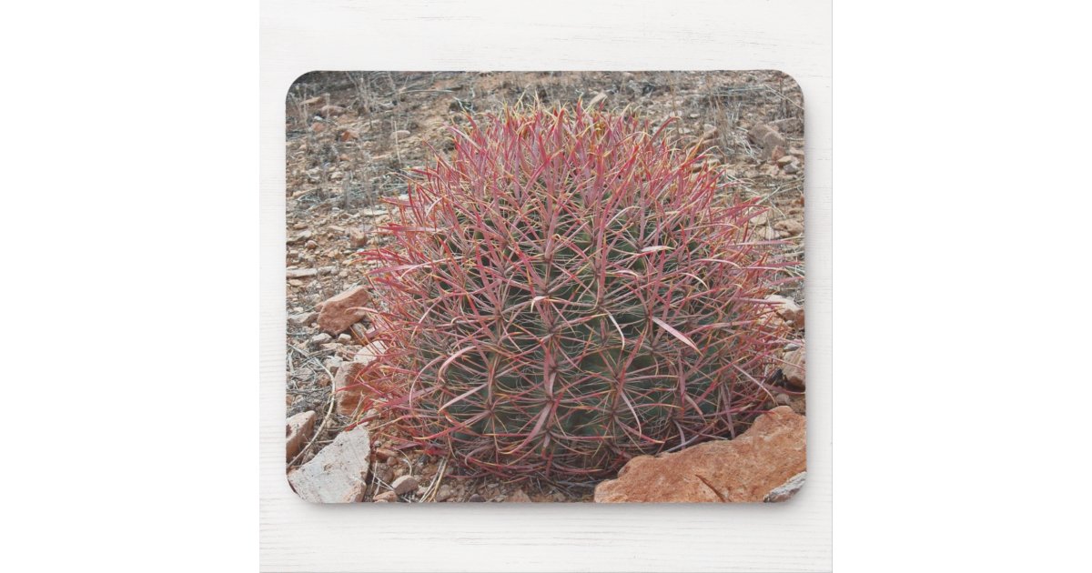 Southwest Red Barrel Cactus Photo Arizona Desert Mouse Pad | Zazzle