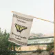 Southwestern Yellow Swallowtail Butterfly House Flag | Zazzle